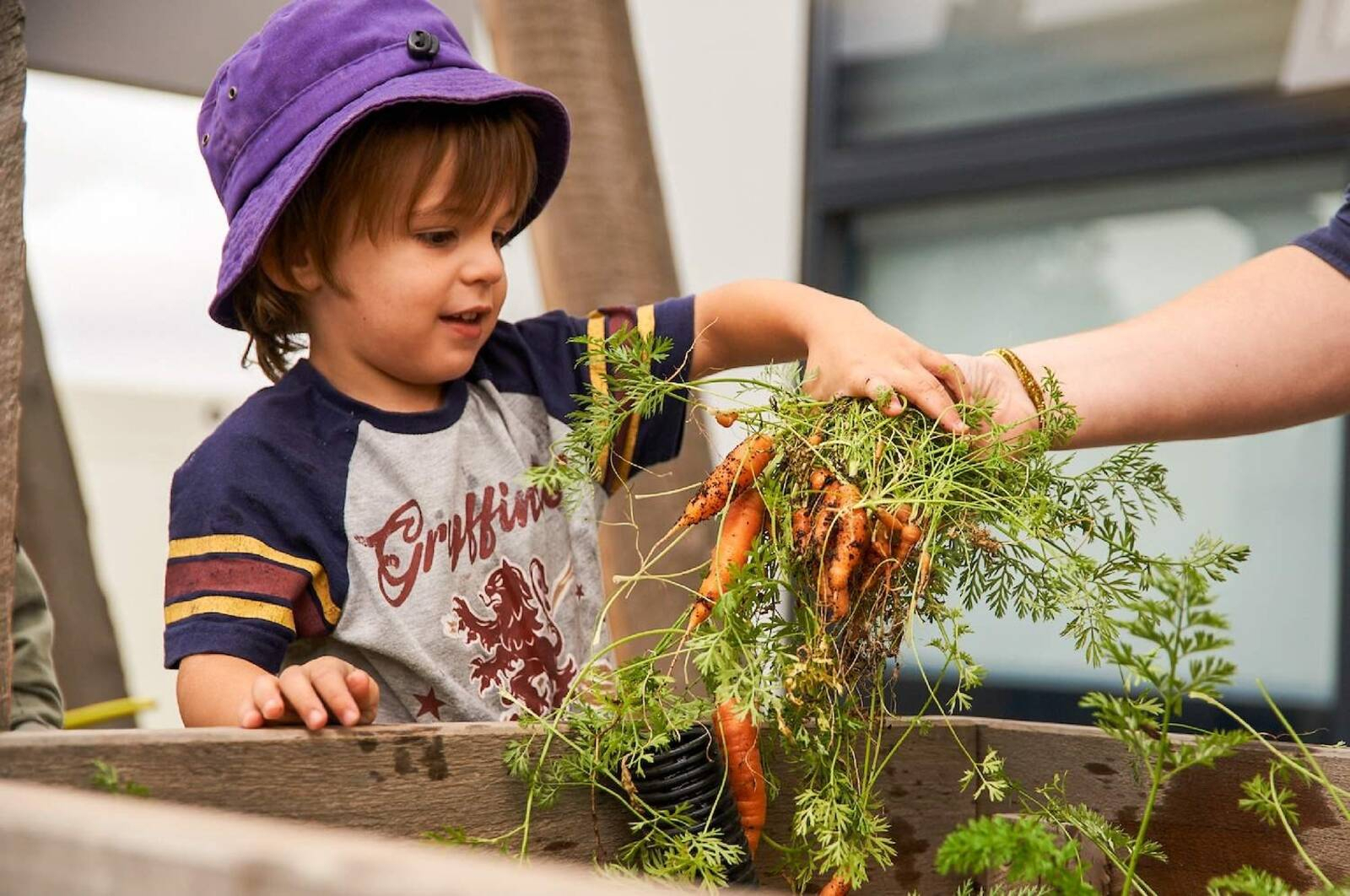 Our Early Learning Programs | AppleBerries Learning Journey